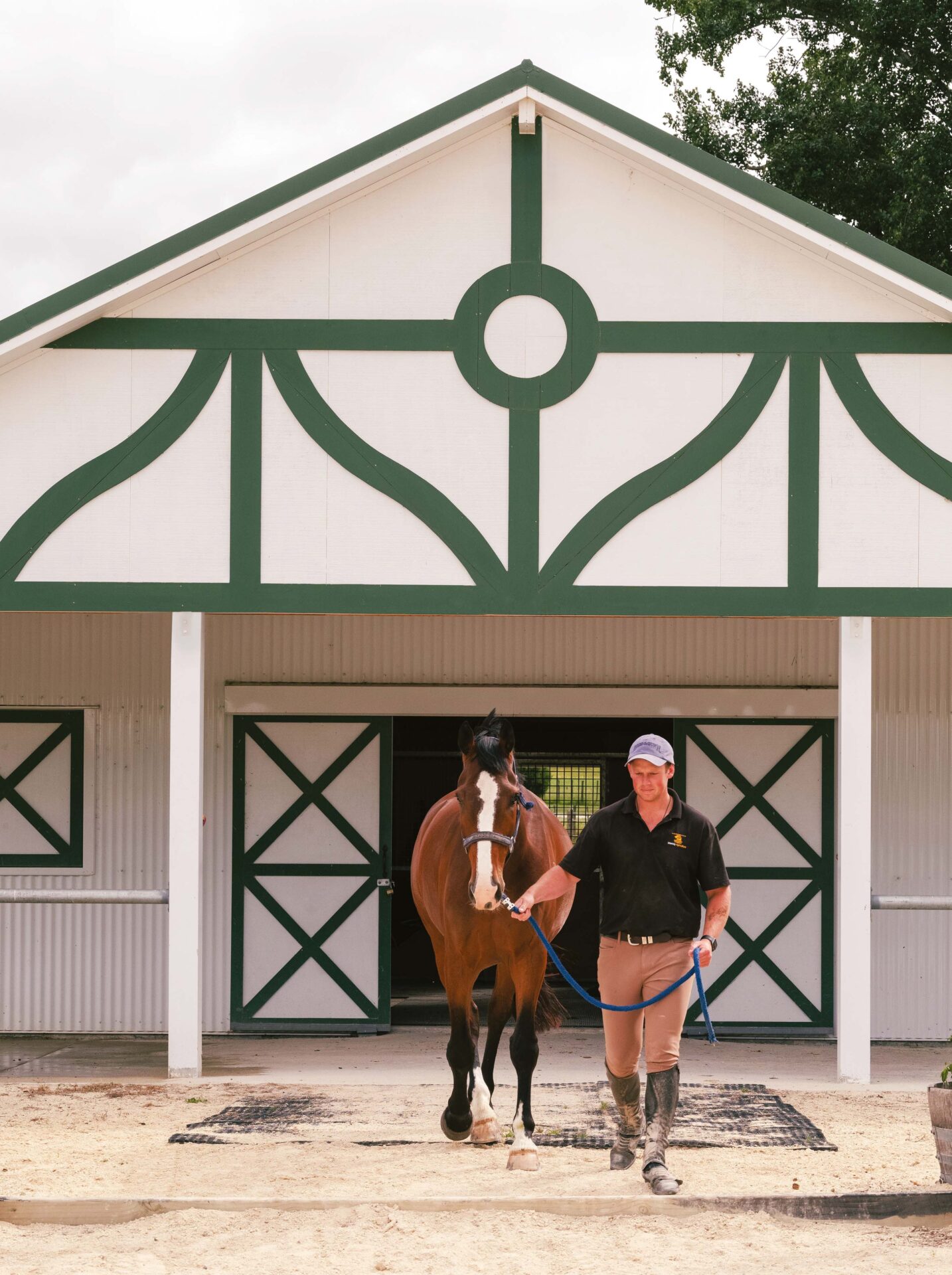 Glen Aros Horse Stables | TimberSpan Equestrian Build
